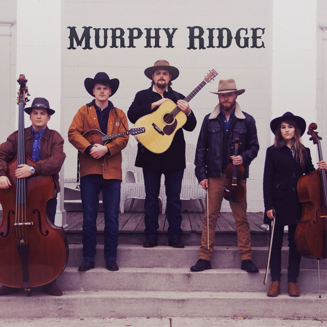 Home - TheTiltedMule